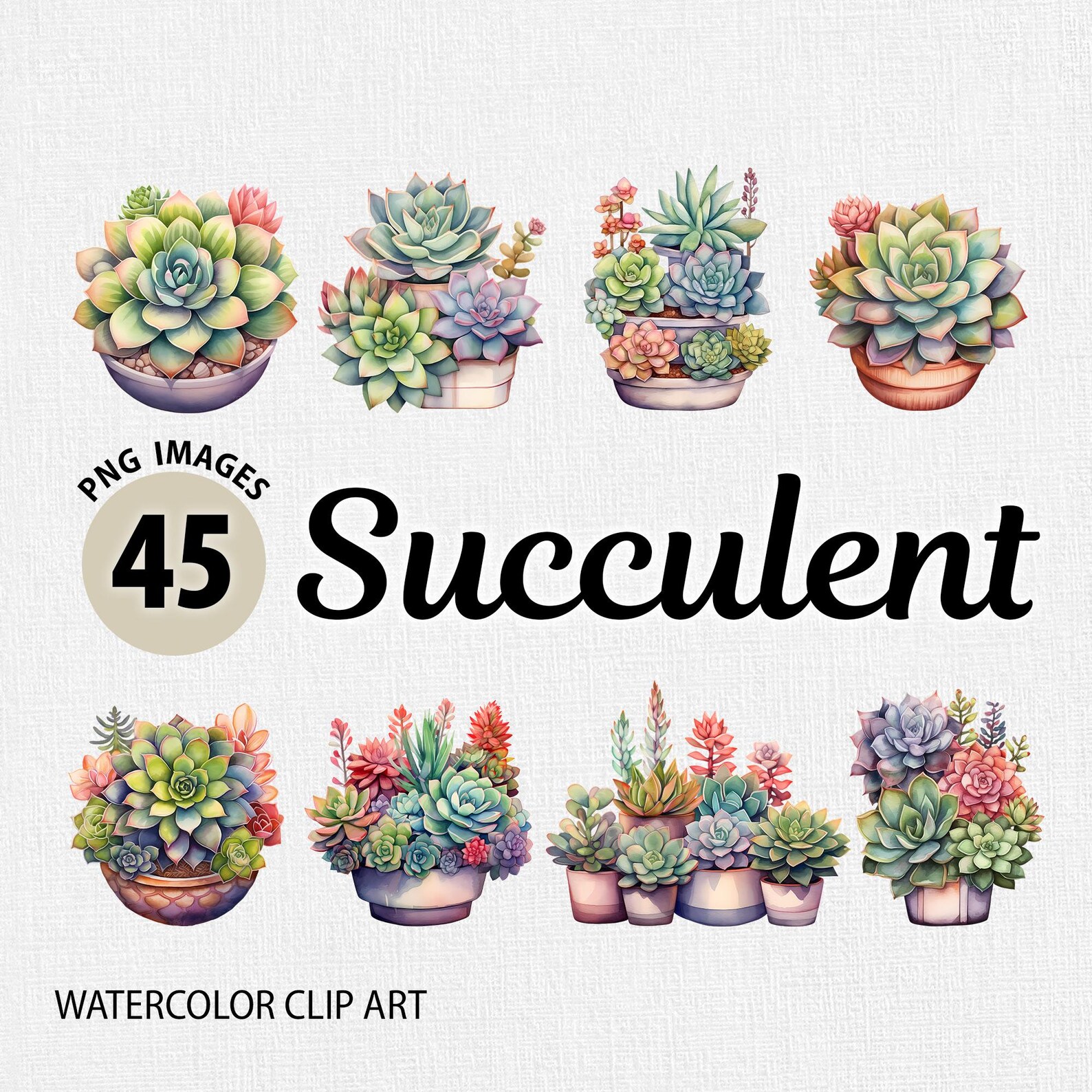 Watercolor Succulent PNG Clipart Bundle, Succulent Clipart Bundle ...