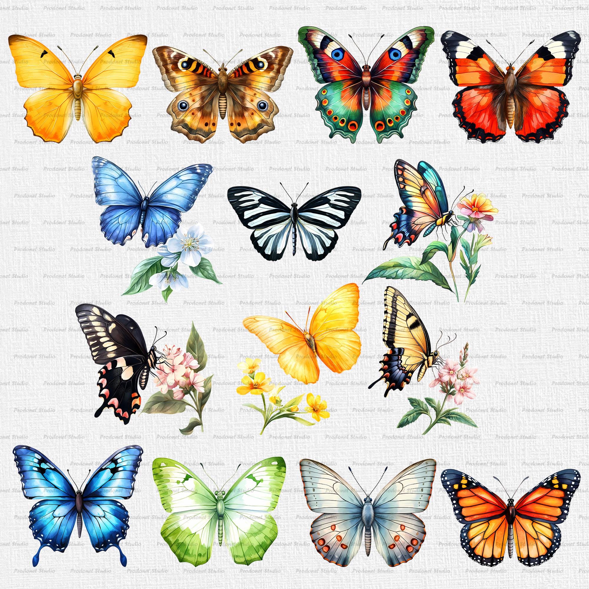 Watercolor Butterfly PNG Clipart Bundle #2, Colorful Butterfly Clipart ...