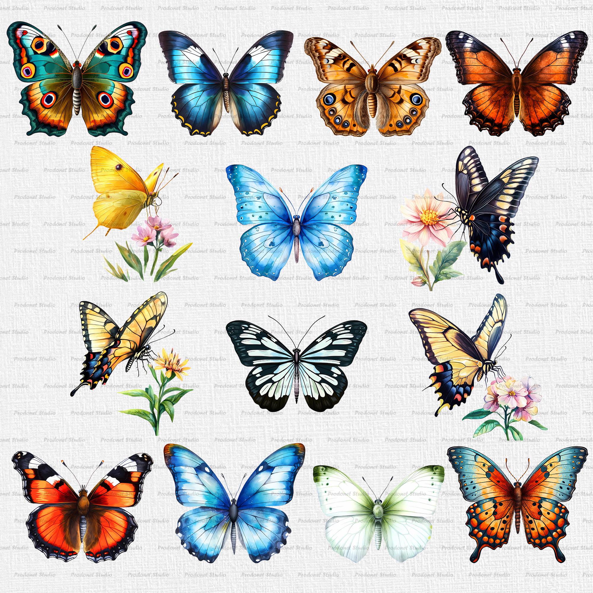 Watercolor Butterfly PNG Clipart Bundle #1, Colorful Butterfly Clipart ...
