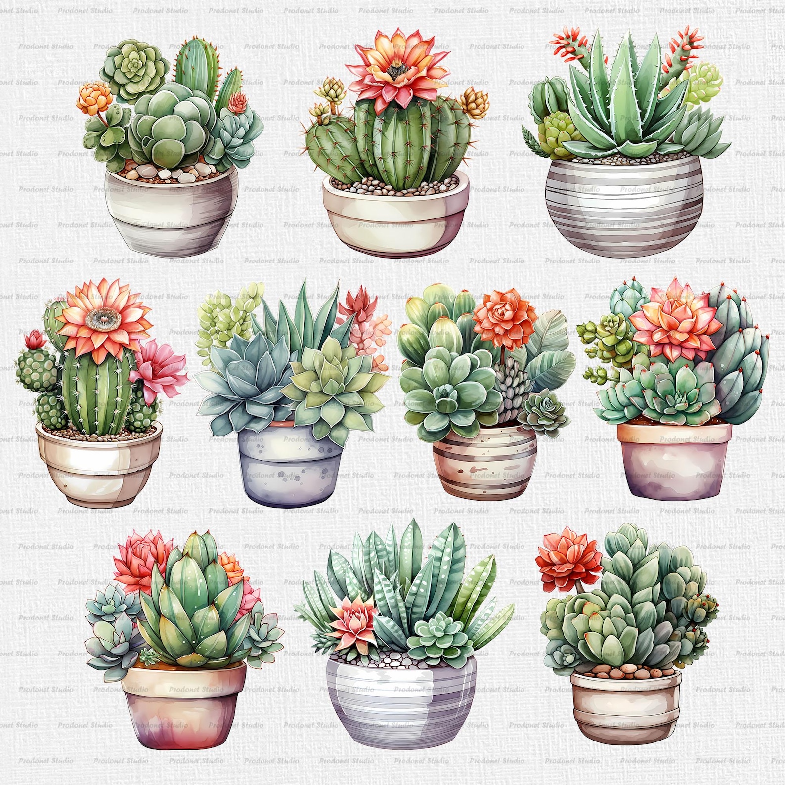 Watercolor Cactus Pot PNG Clipart Bundle, Watercolor Succulent PNG ...