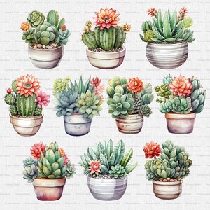 Watercolor Cactus Pot PNG Clipart Bundle, Watercolor Succulent PNG ...