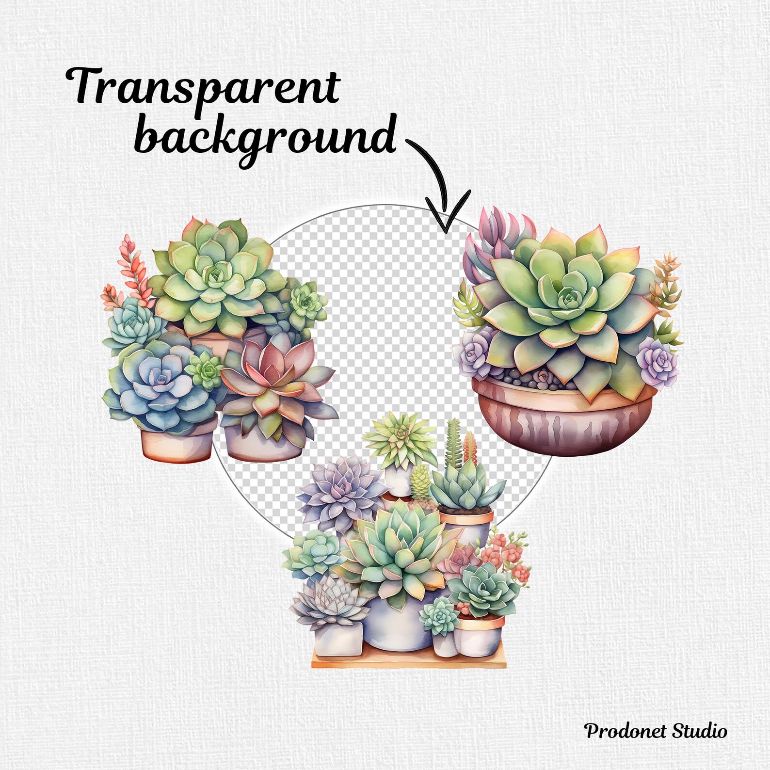 Watercolor Succulent PNG Clipart Bundle, Succulent Clipart Bundle ...