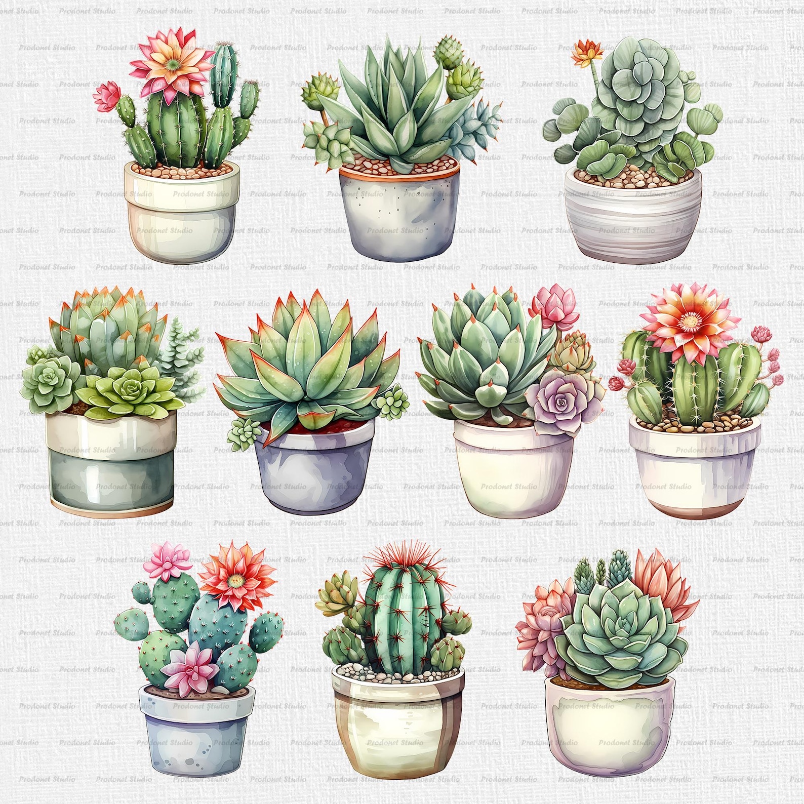 Watercolor Cactus Pot PNG Clipart Bundle, Watercolor Succulent PNG ...