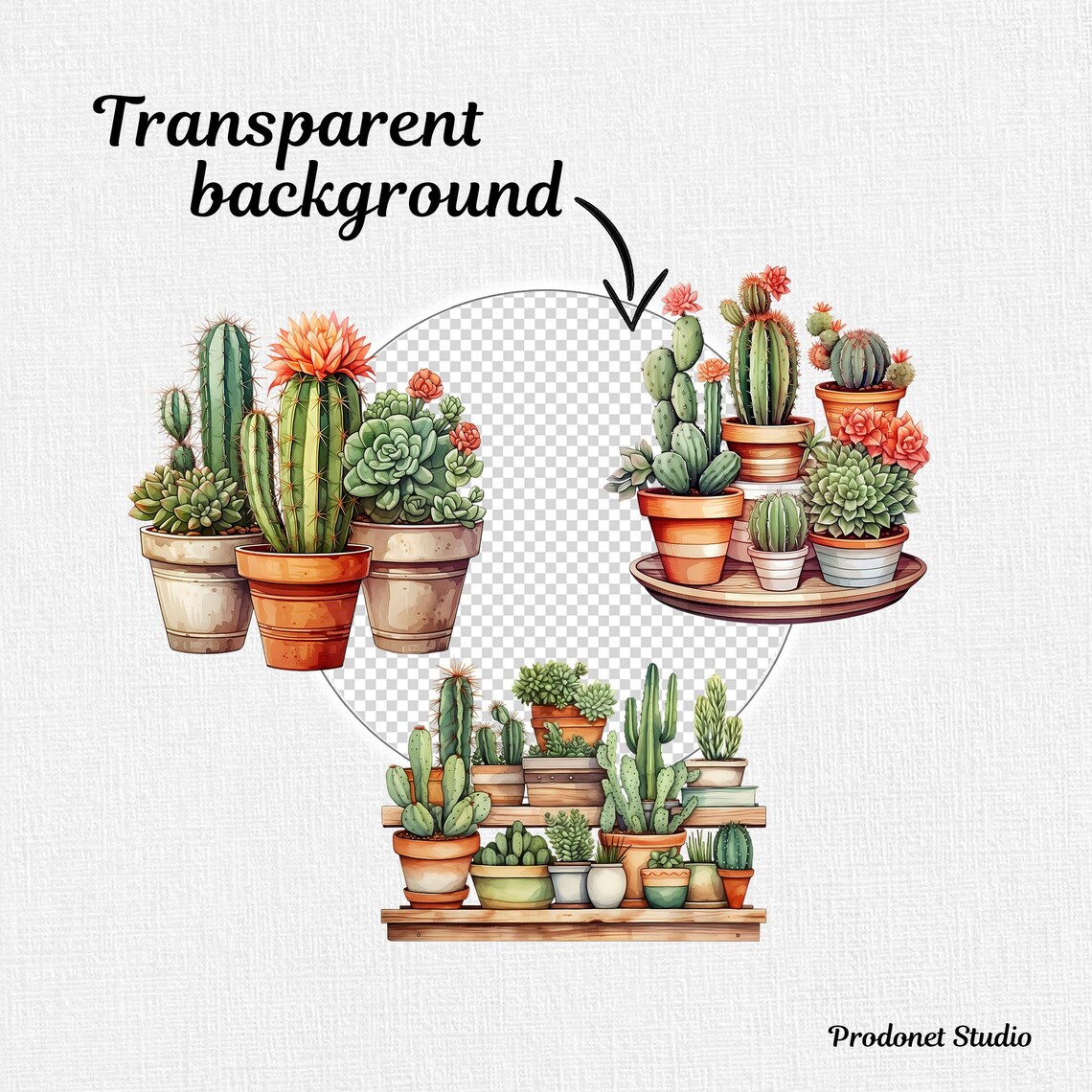 Watercolor Cactus Plants PNG Clipart Bundle, Watercolor Succulent PNG ...