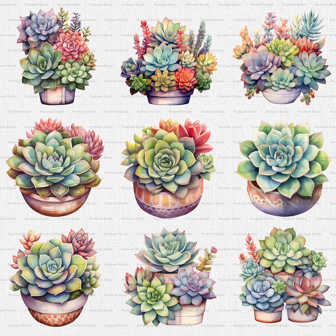 Watercolor Succulent PNG Clipart Bundle, Succulent Clipart Bundle ...