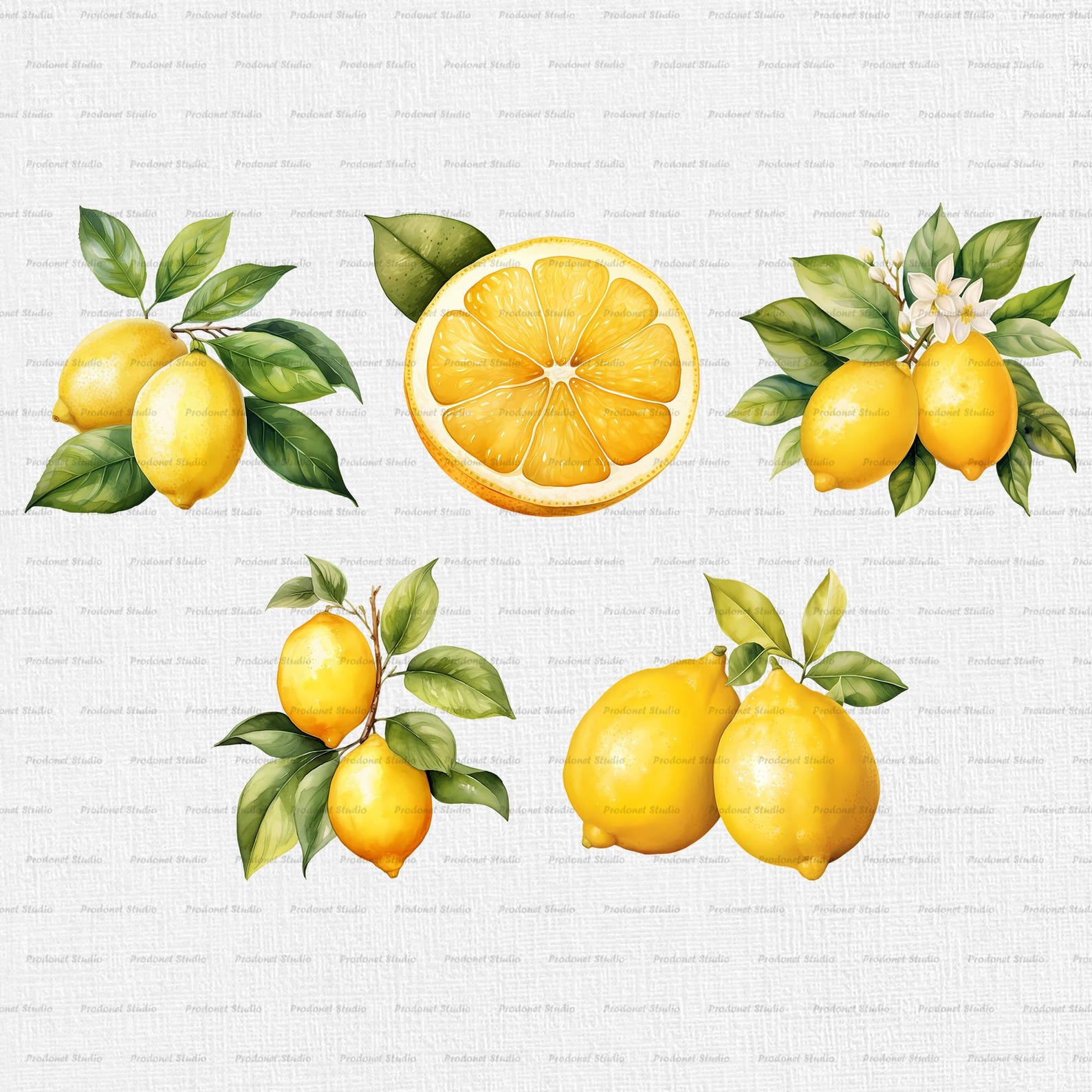 Watercolor Lemon PNG Clipart Bundle, Watercolor Lemons, Lime PNG ...