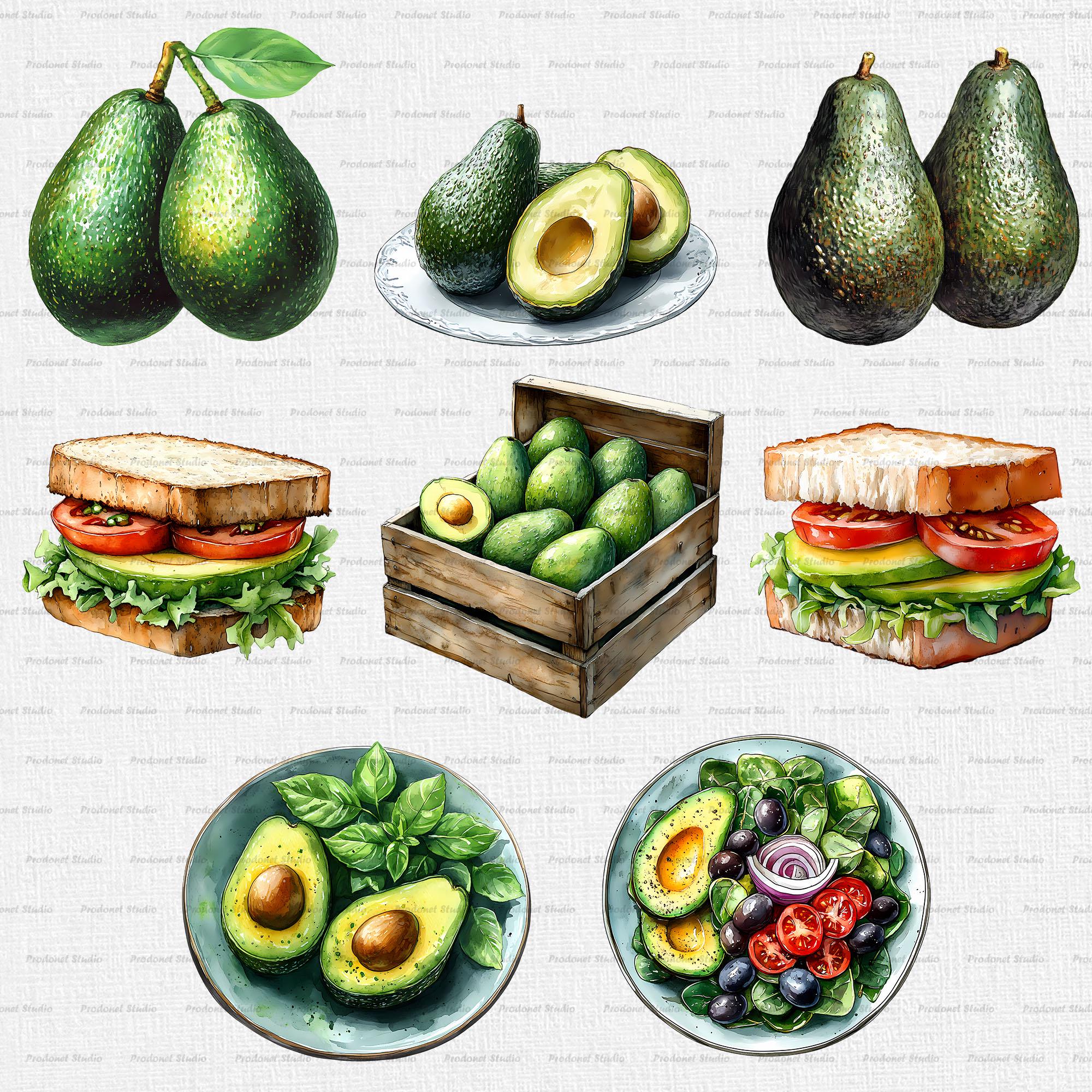 Watercolor Avocado PNG Clipart Bundle, Watercolor Avocado Clipart ...