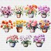 Watercolor Flower Pots PNG Clipart Bundle, Plant Pot, Floral Clipart ...