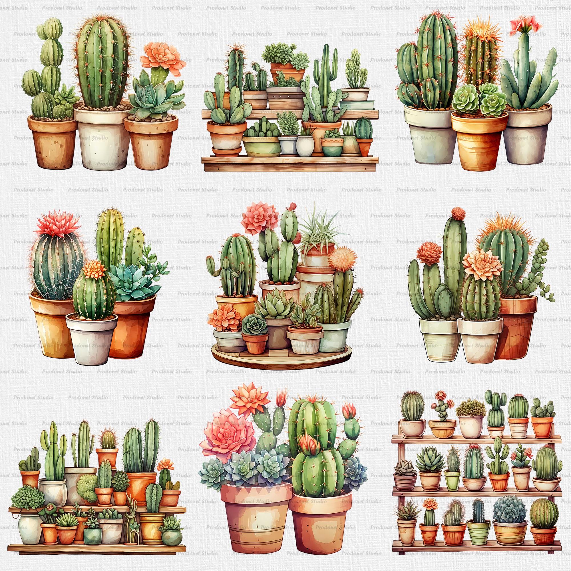 Watercolor Cactus Plants PNG Clipart Bundle, Watercolor Succulent PNG ...