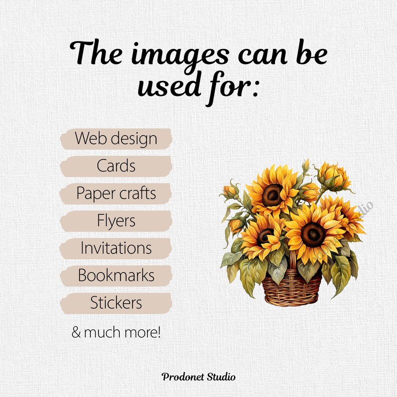 Watercolor Sunflower PNG Clipart Bundle, Sunflower Clipart, Floral ...