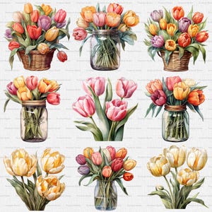 Watercolor Tulip PNG Clipart Bundle, Tulip Clipart, Floral Clipart ...