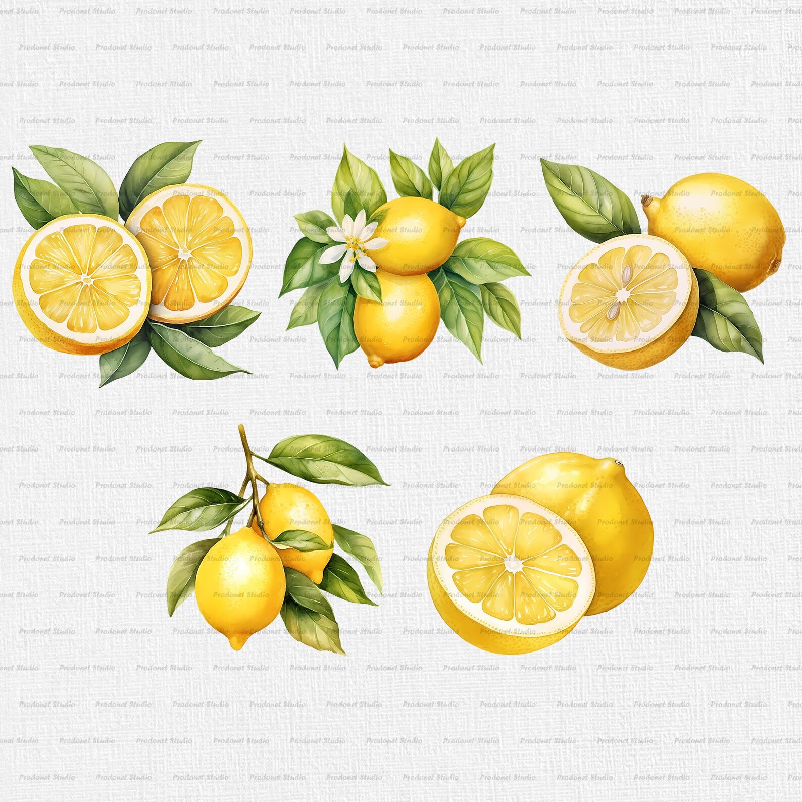 Watercolor Lemon PNG Clipart Bundle, Watercolor Lemons, Lime PNG ...