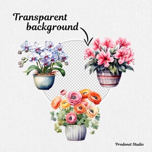 Watercolor Flower Pots PNG Clipart Bundle, Plant Pot, Floral Clipart ...