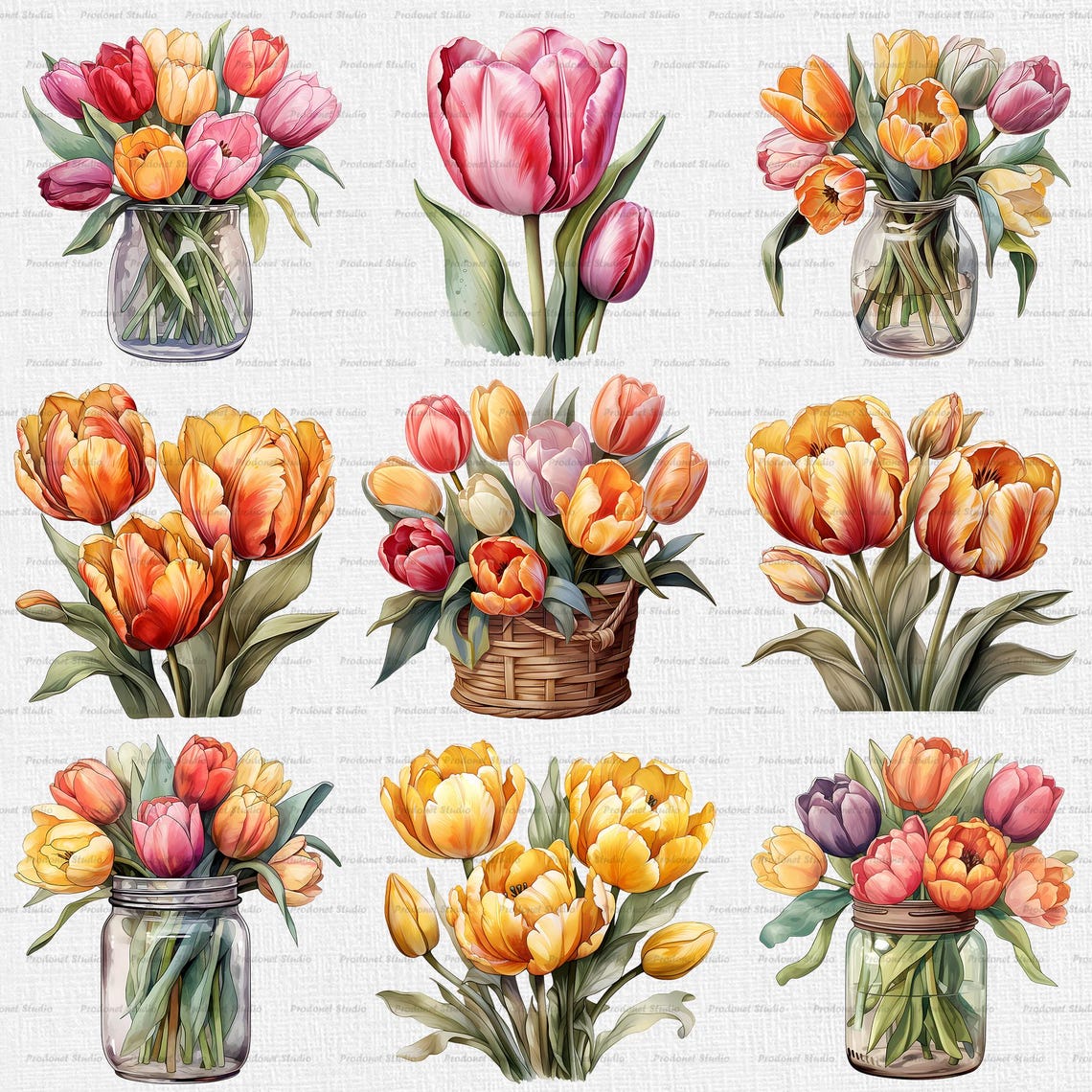 Watercolor Tulip PNG Clipart Bundle, Tulip Clipart, Floral Clipart ...