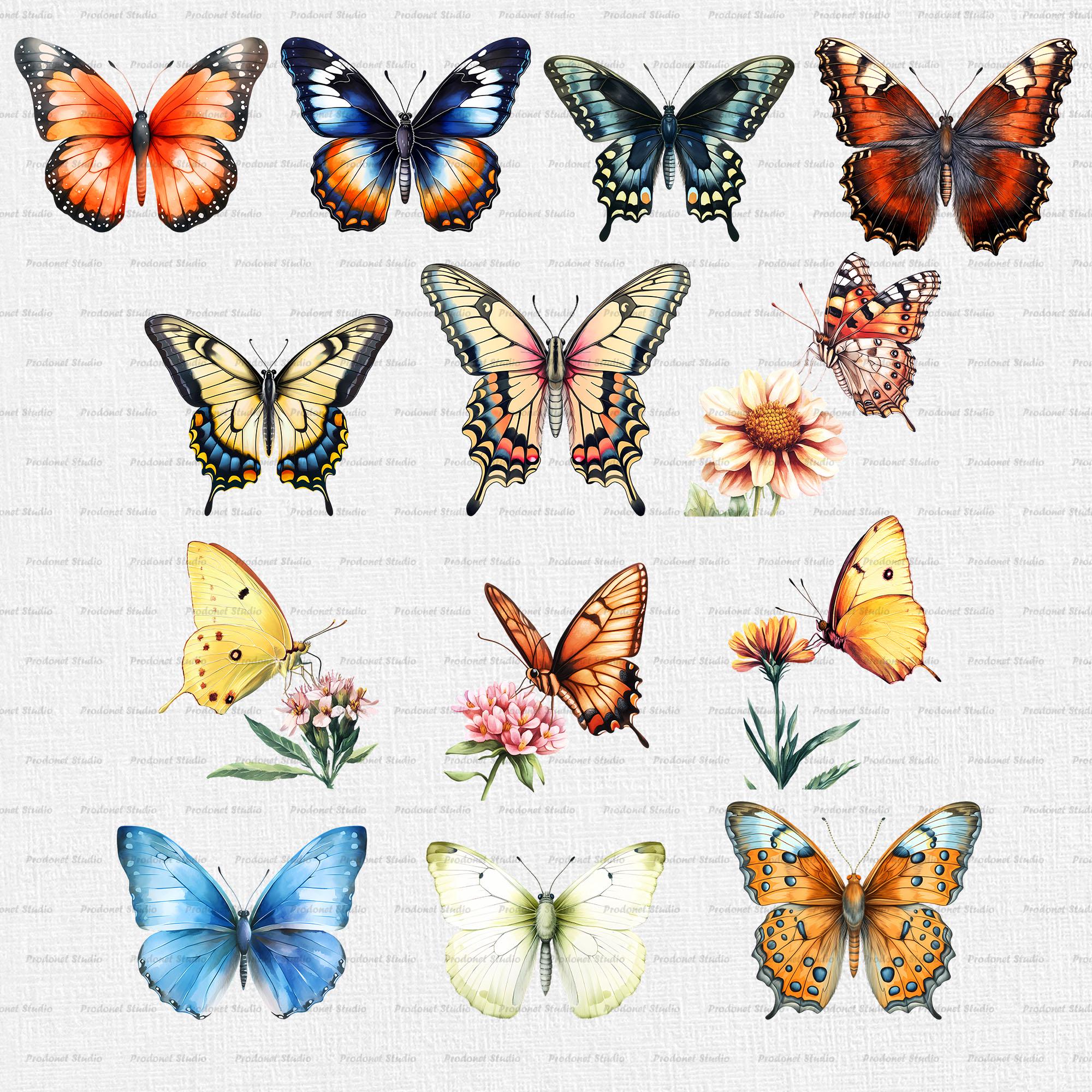 Watercolor Butterfly PNG Clipart Bundle #1, Colorful Butterfly Clipart ...