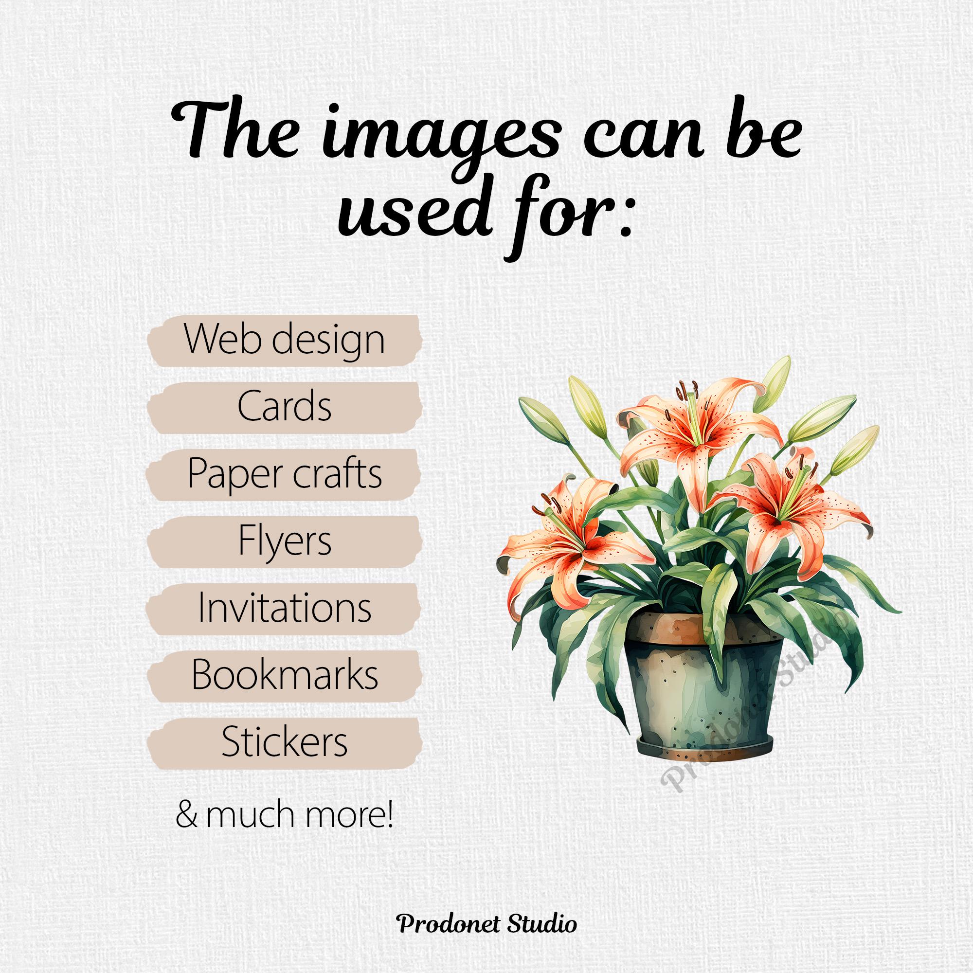 Watercolor Flower Pots PNG Clipart Bundle, Plant Pot, Floral Clipart ...
