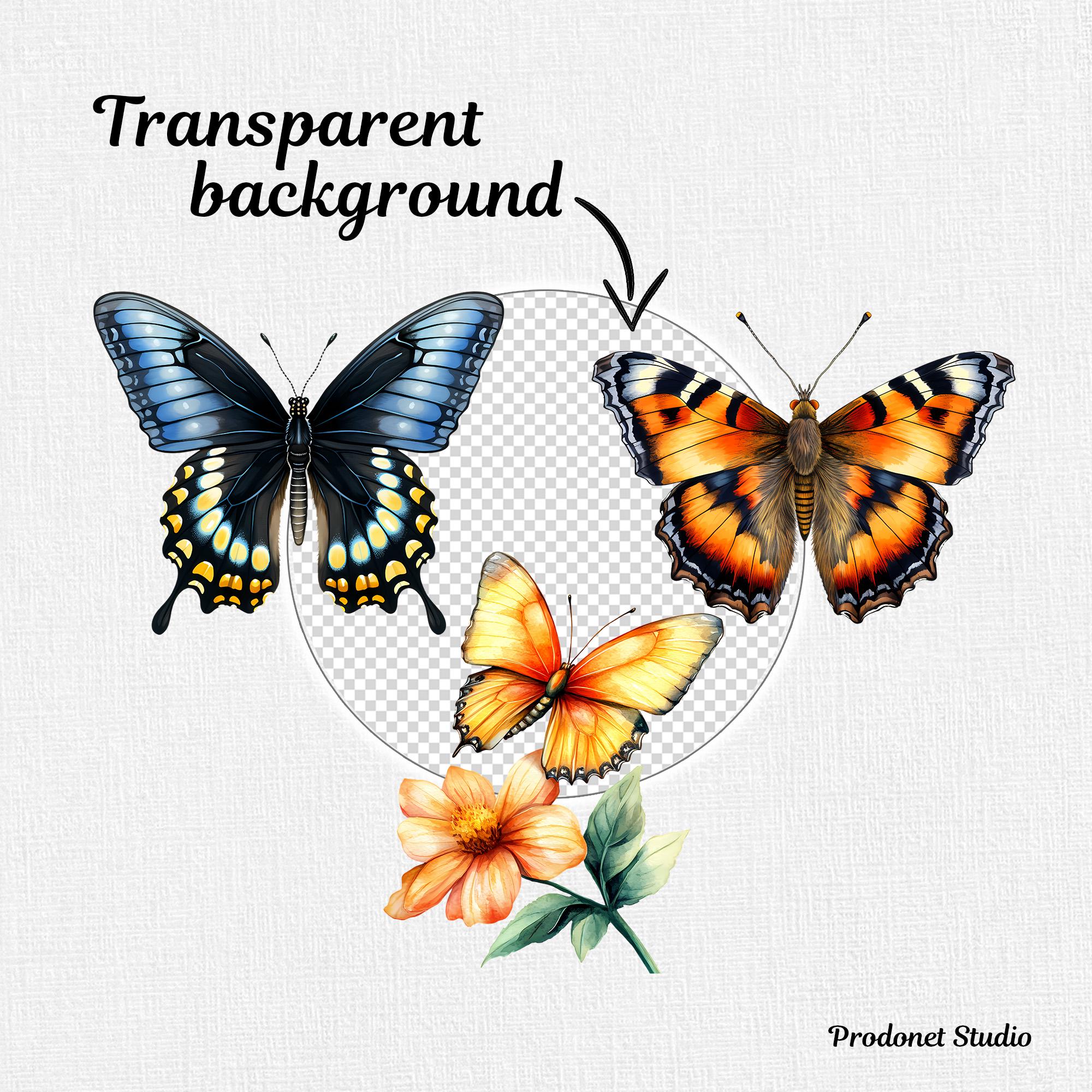 Watercolor Butterfly PNG Clipart Bundle #2, Colorful Butterfly Clipart ...