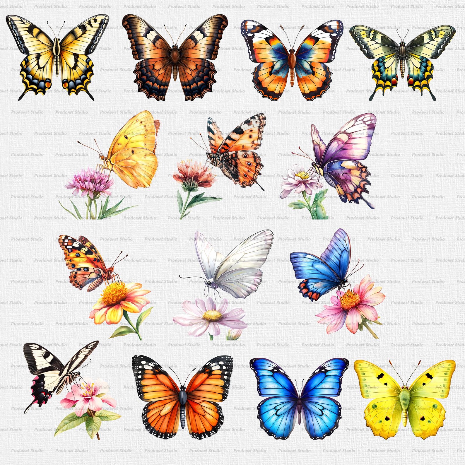 Watercolor Butterfly PNG Clipart Bundle #2, Colorful Butterfly Clipart ...