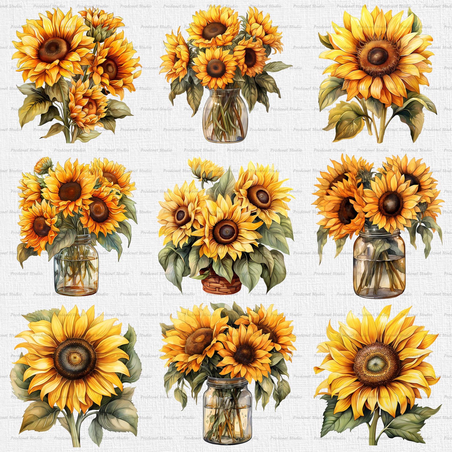 Watercolor Sunflower PNG Clipart Bundle, Sunflower Clipart, Floral ...