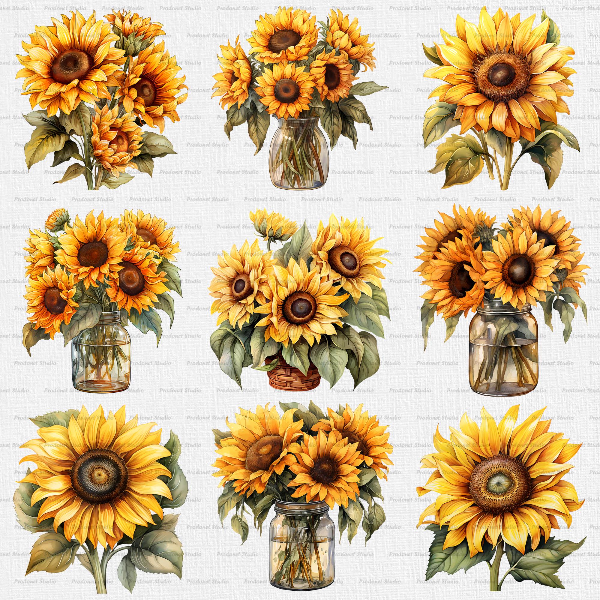 Watercolor Sunflower PNG Clipart Bundle, Sunflower Clipart, Floral ...