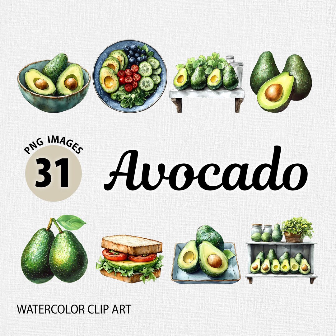Watercolor Avocado PNG Clipart Bundle, Watercolor Avocado Clipart ...