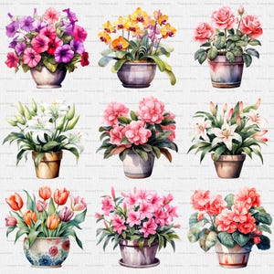Watercolor Flower Pots PNG Clipart Bundle, Plant Pot, Floral Clipart ...