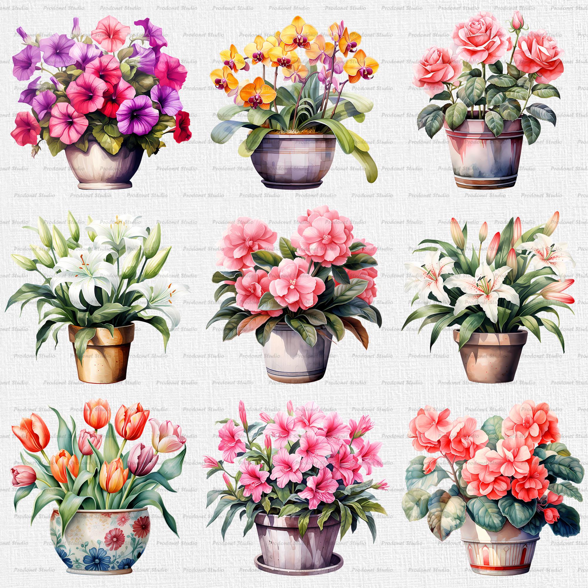 Watercolor Flower Pots PNG Clipart Bundle, Plant Pot, Floral Clipart ...