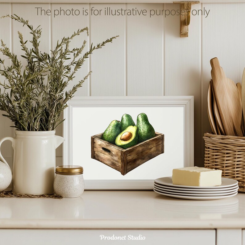 Watercolor Avocado PNG Clipart Bundle, Watercolor Avocado Clipart ...