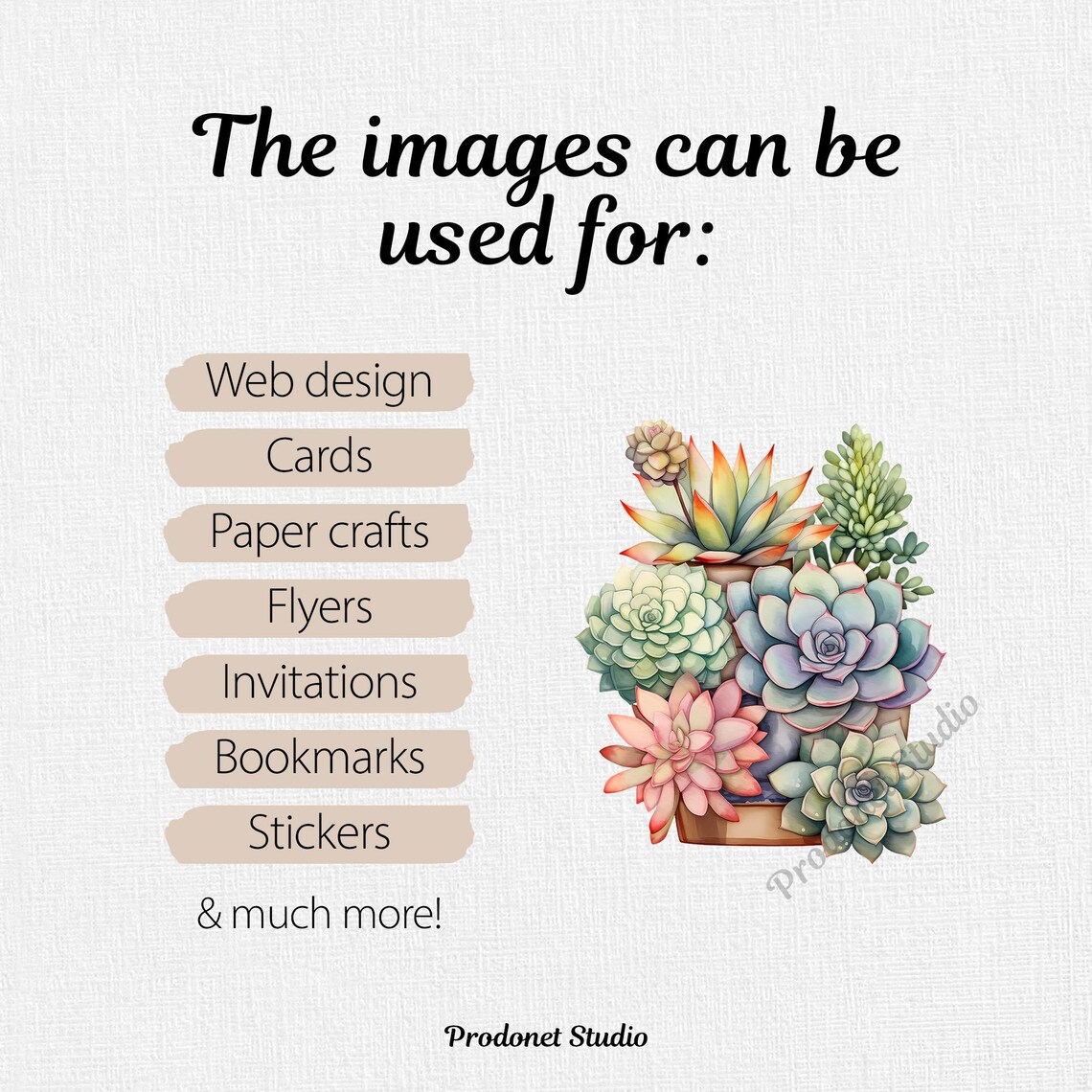 Watercolor Succulent PNG Clipart Bundle, Succulent Clipart Bundle ...