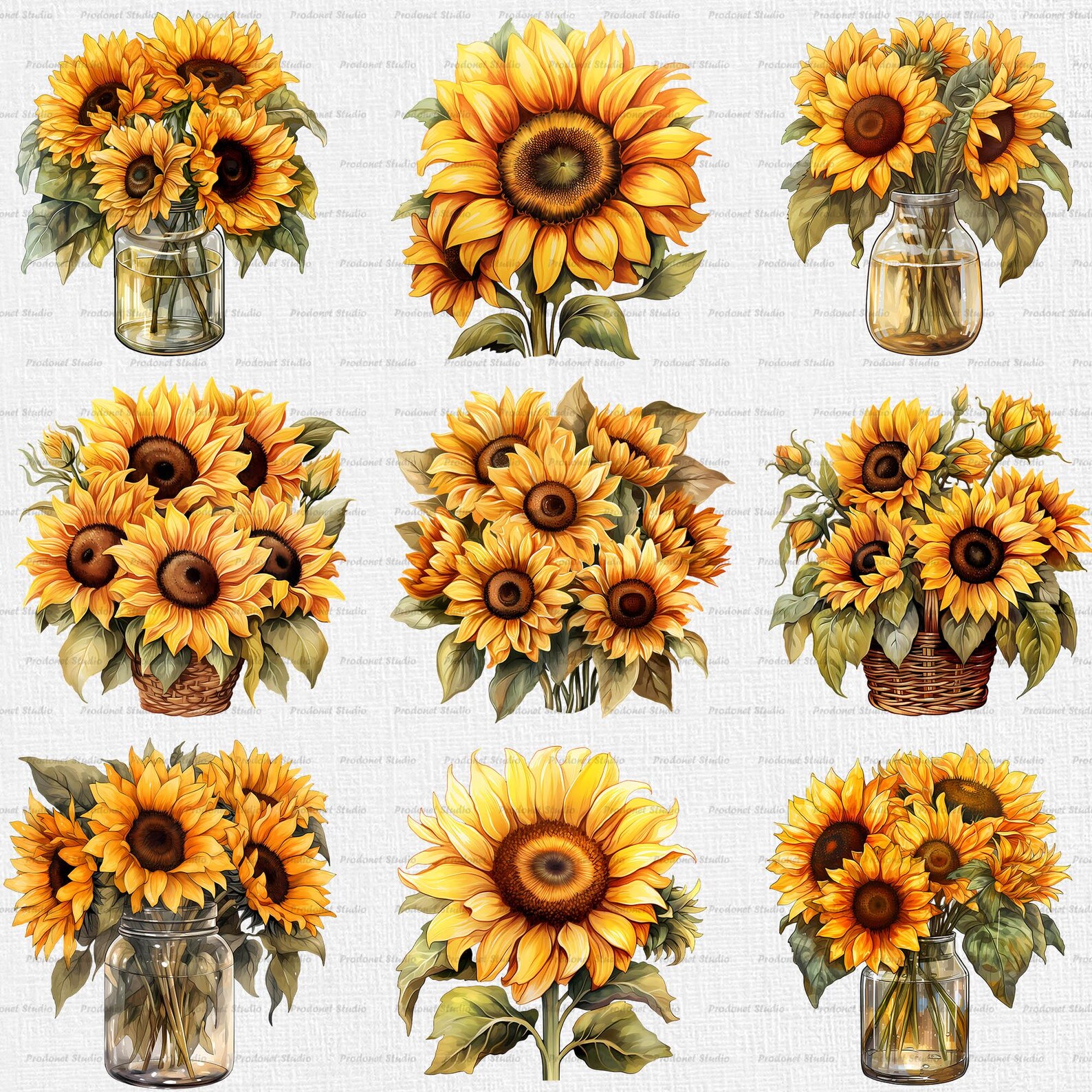 Watercolor Sunflower PNG Clipart Bundle, Sunflower Clipart, Floral ...