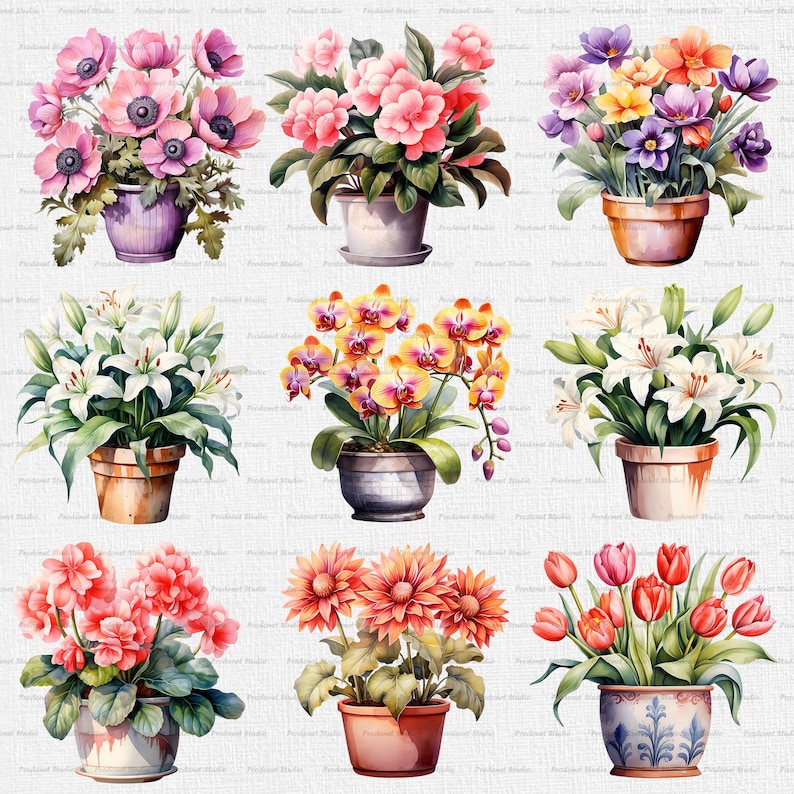 Watercolor Flower Pots PNG Clipart Bundle, Plant Pot, Floral Clipart ...