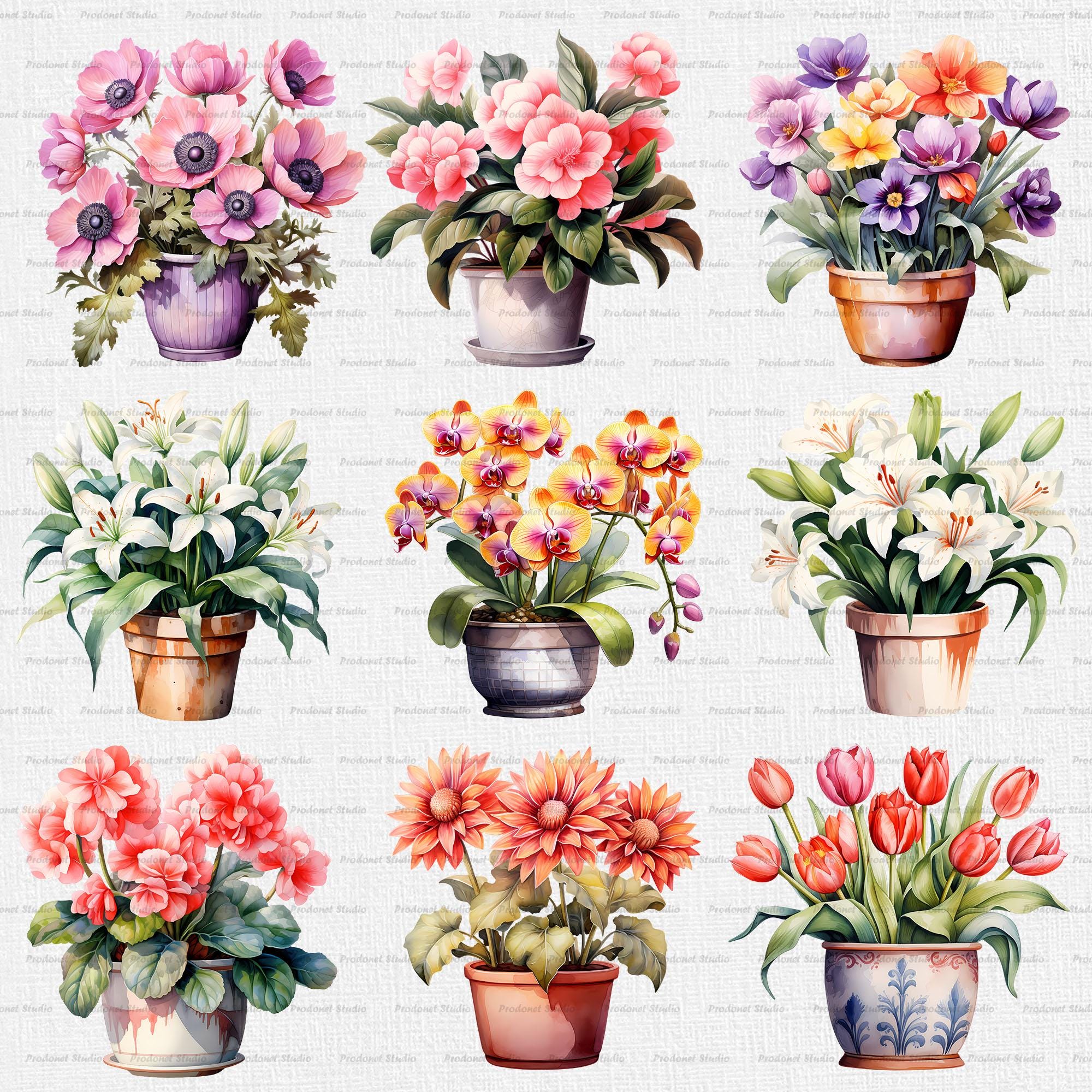 Watercolor Flower Pots PNG Clipart Bundle, Plant Pot, Floral Clipart ...