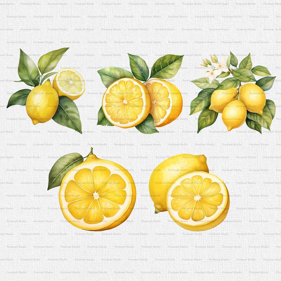 Watercolor Lemon PNG Clipart Bundle, Watercolor Lemons, Lime PNG ...
