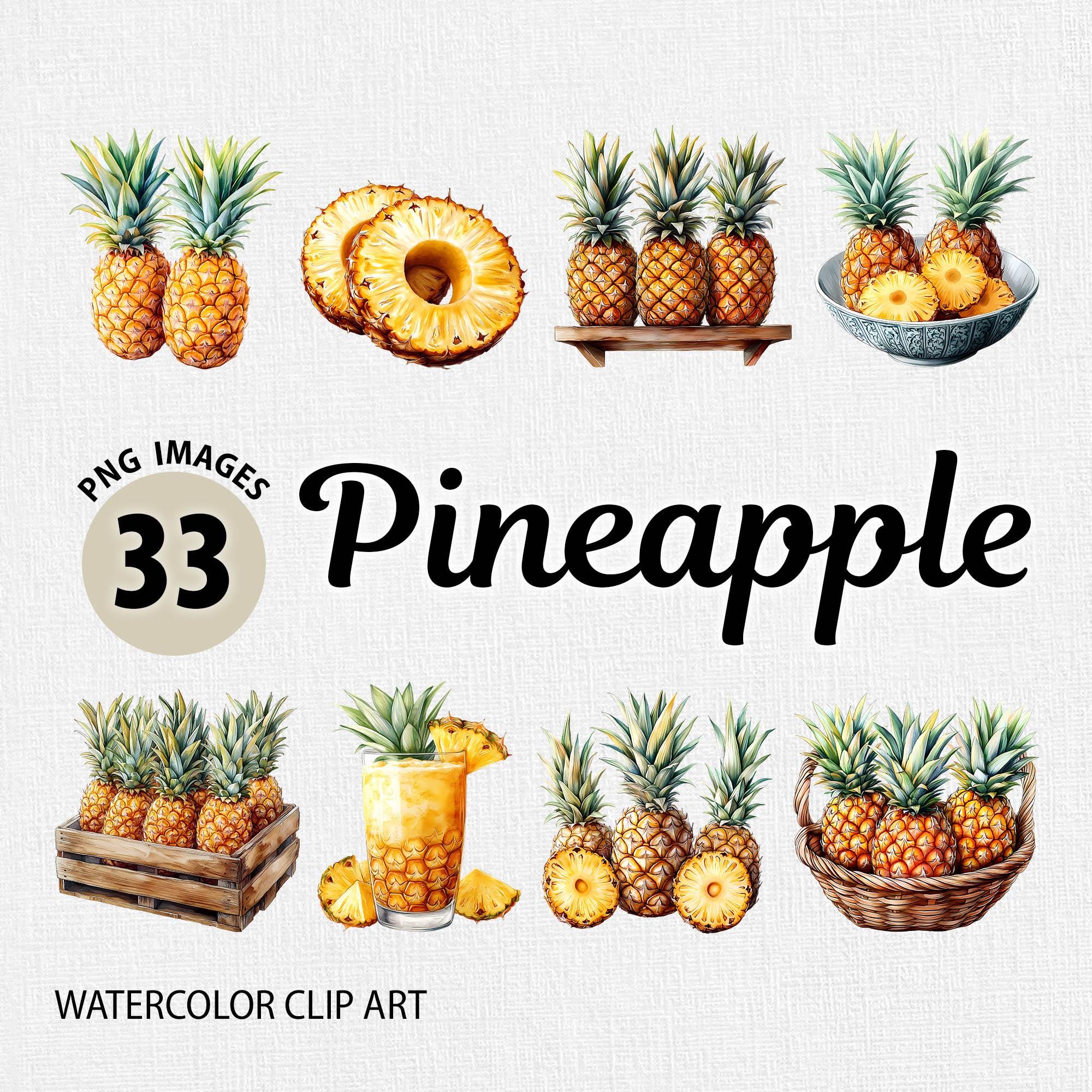Watercolor Pineapple PNG Bundle, Pineapple Clipart, Pineapple Graphic ...