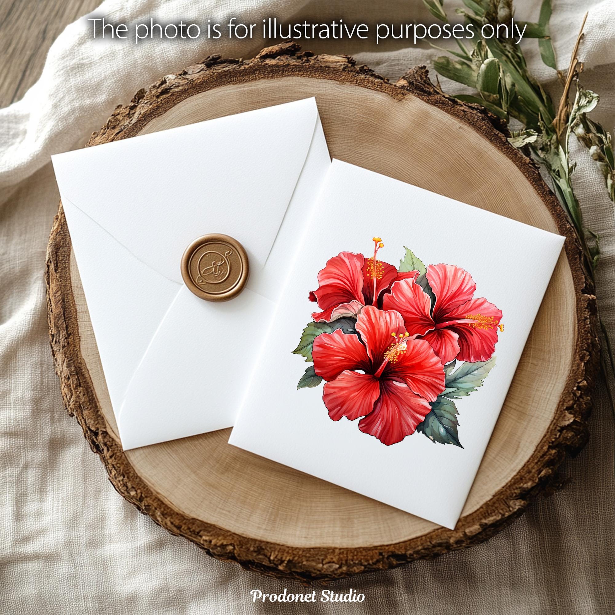 Watercolor Red Hibiscus PNG Clipart Bundle, Watercolor Hibiscus PNG ...