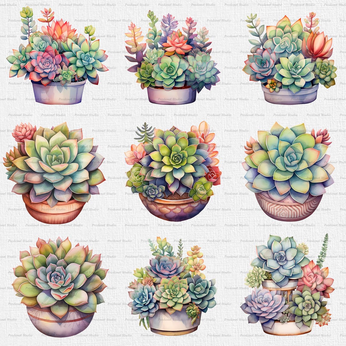 Watercolor Succulent PNG Clipart Bundle, Succulent Clipart Bundle ...