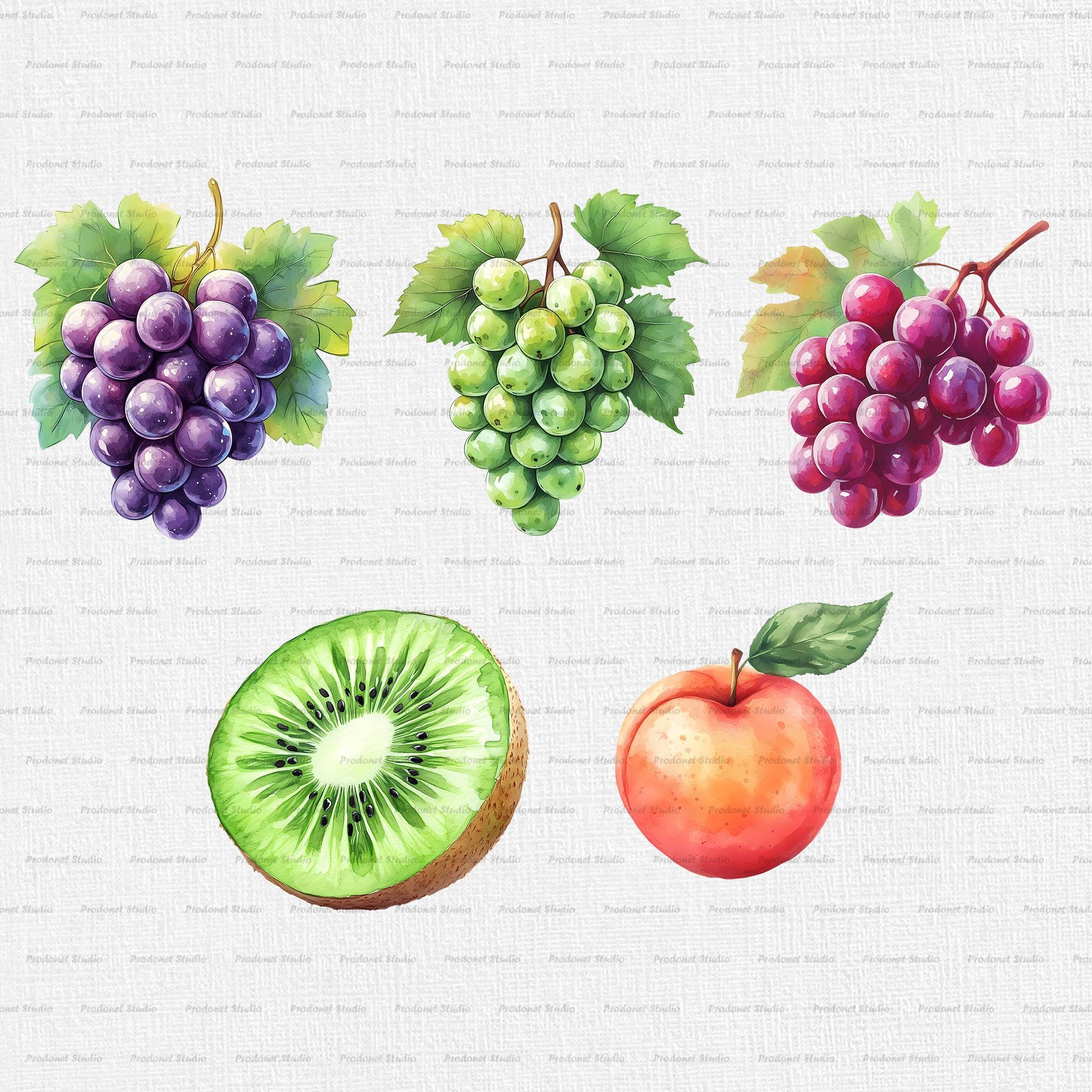 Watercolor Fruit PNG Clipart Bundle, Watercolor Fresh Fruit Clipart ...