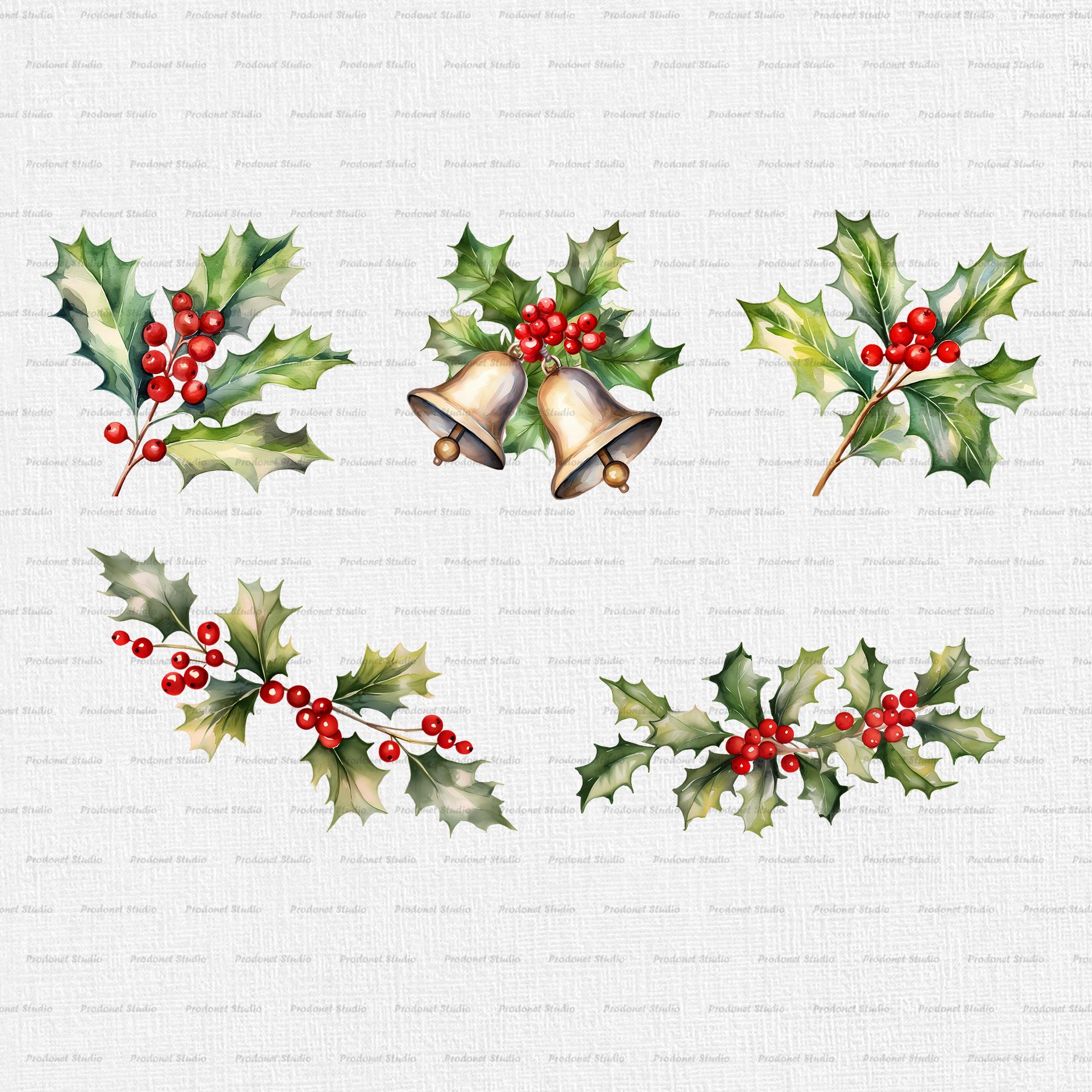 Watercolor Christmas Holly PNG Clipart Bundle, Holly Wreath PNG ...