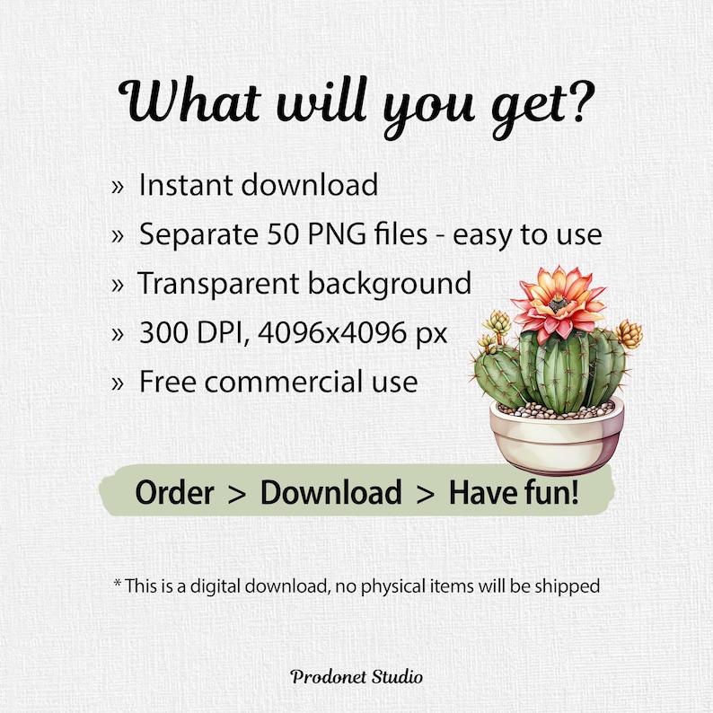 Watercolor Cactus Pot PNG Clipart Bundle, Watercolor Succulent PNG ...