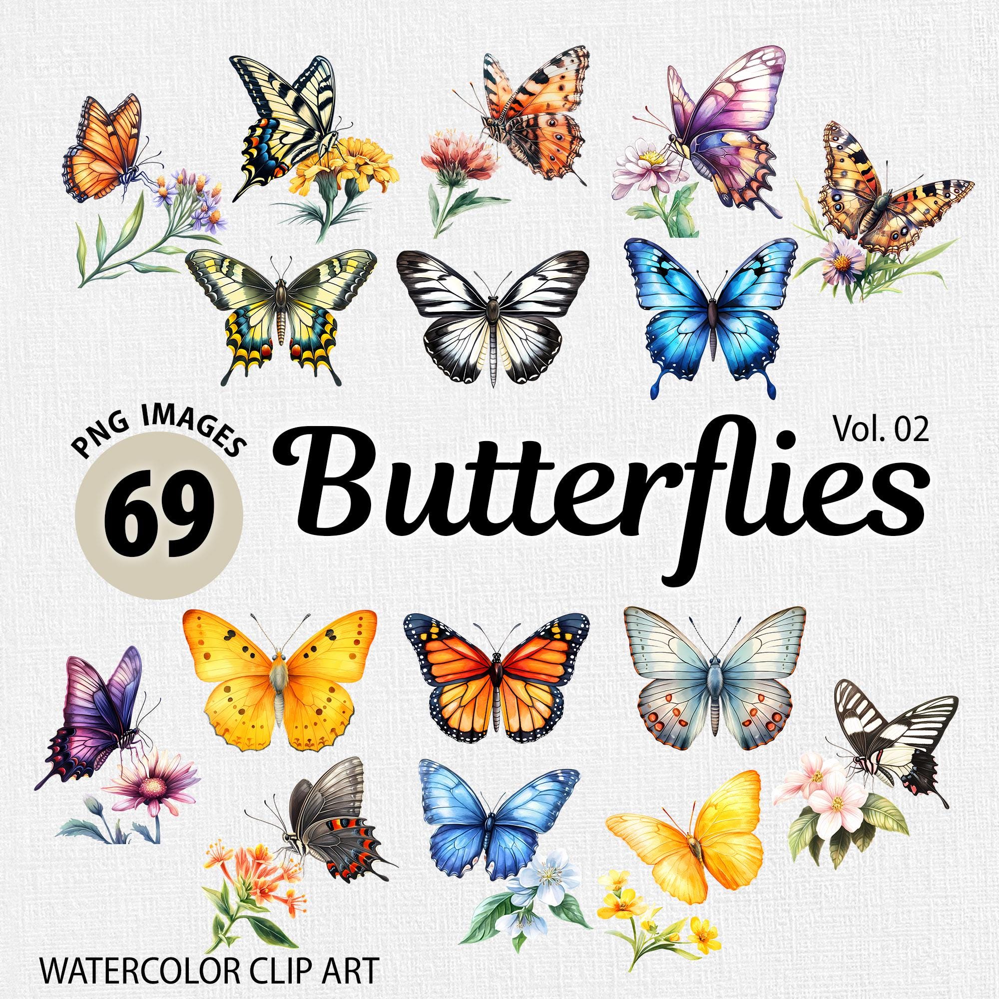 Watercolor Butterfly PNG Clipart Bundle #2, Colorful Butterfly Clipart ...