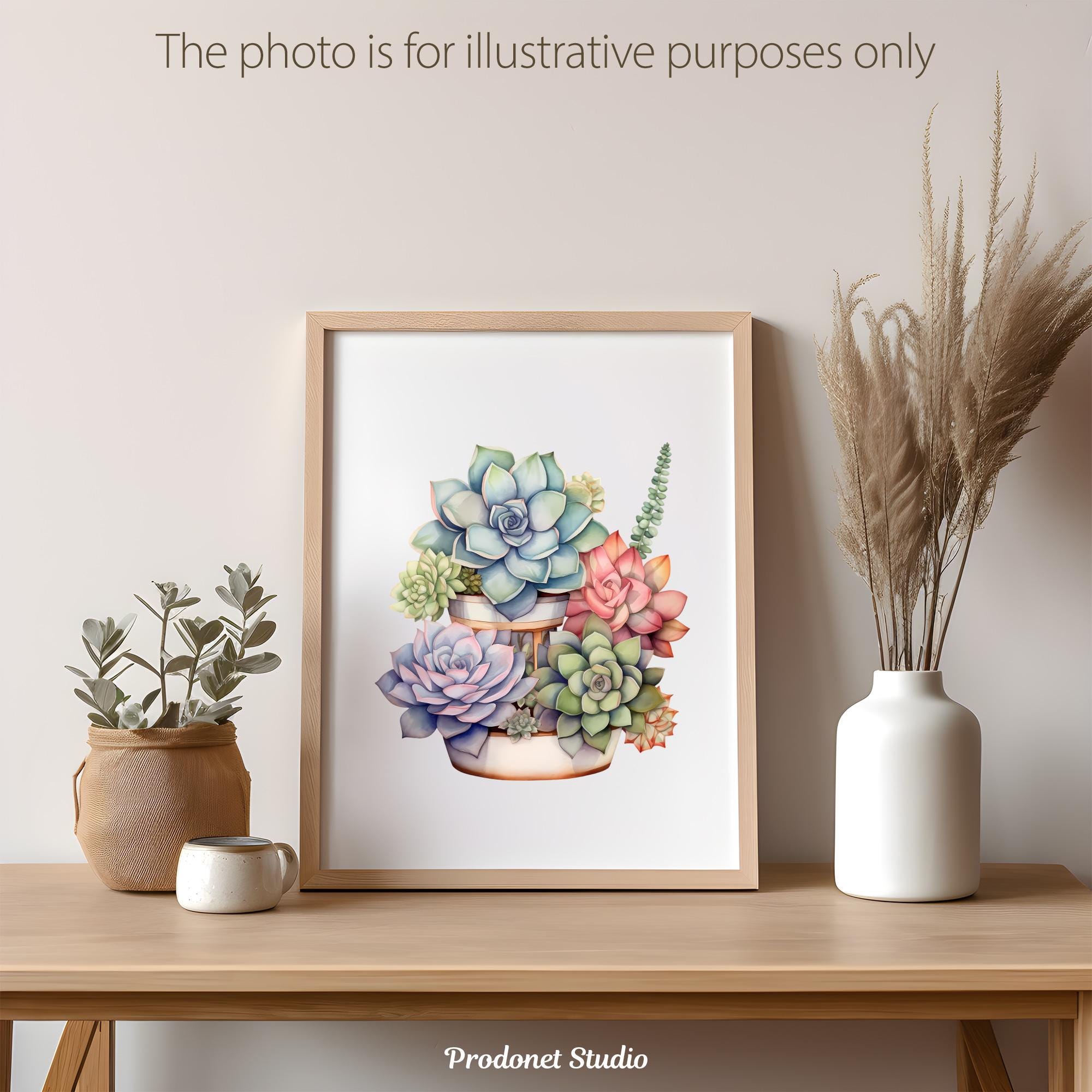 Watercolor Succulent PNG Clipart Bundle, Succulent Clipart Bundle ...