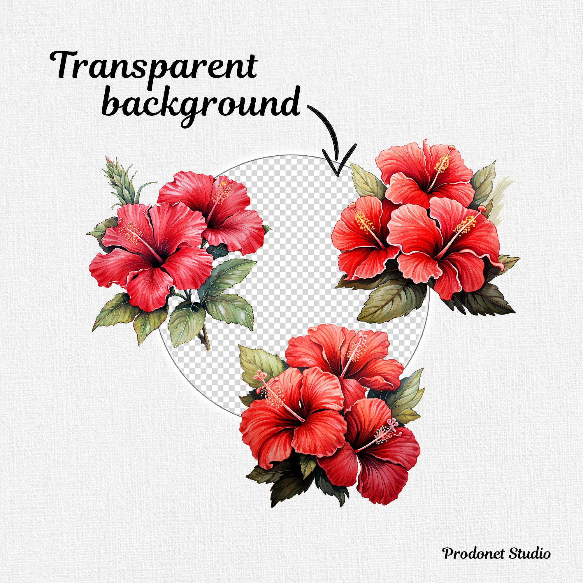 Watercolor Red Hibiscus PNG Clipart Bundle, Watercolor Hibiscus PNG ...