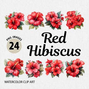 Watercolor Red Hibiscus PNG Clipart Bundle, Watercolor Hibiscus PNG ...