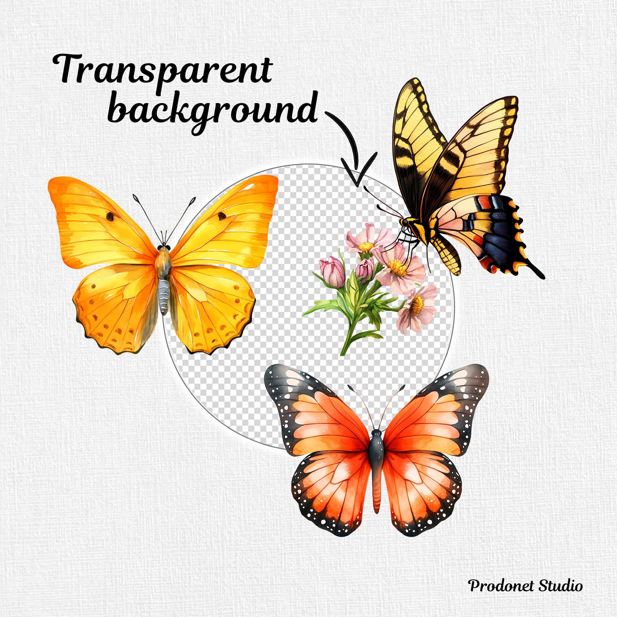Watercolor Butterfly PNG Clipart Bundle #1, Colorful Butterfly Clipart ...