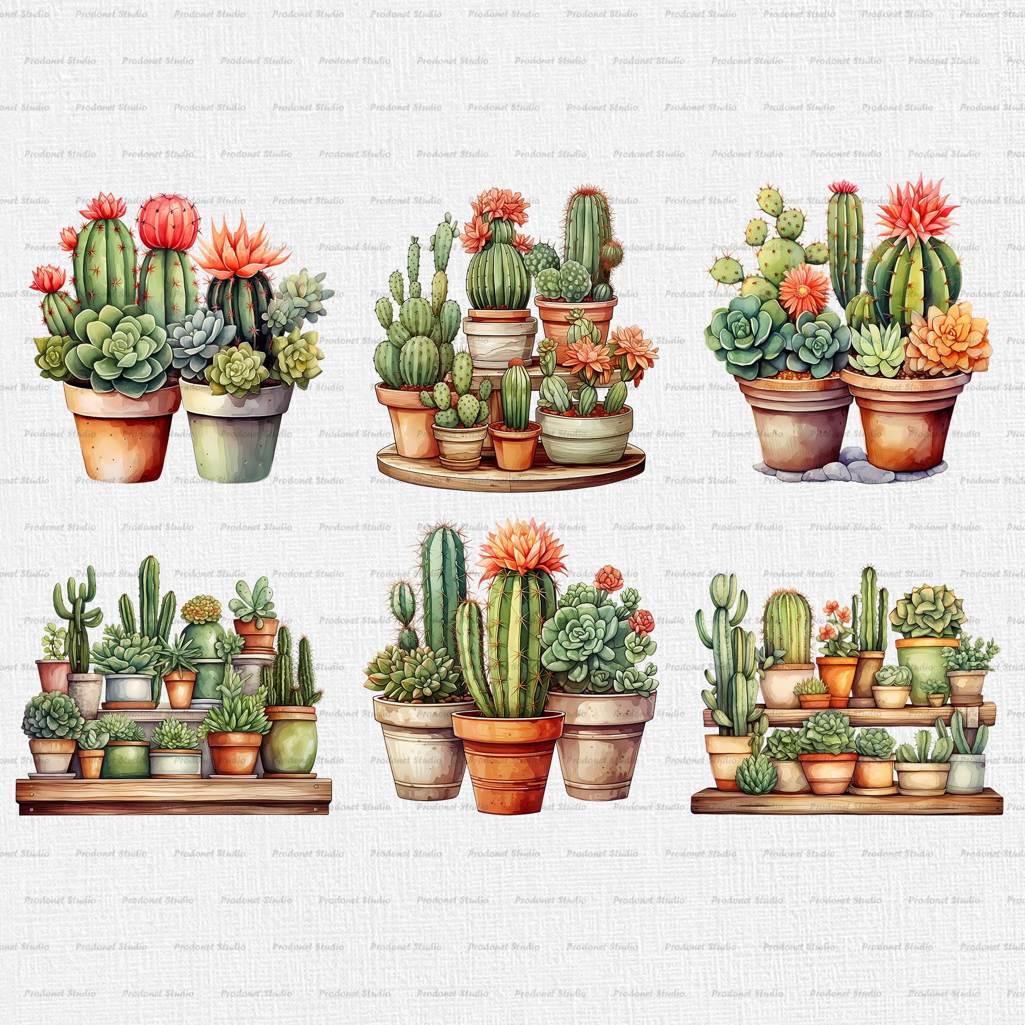 Watercolor Cactus Plants PNG Clipart Bundle, Watercolor Succulent PNG ...