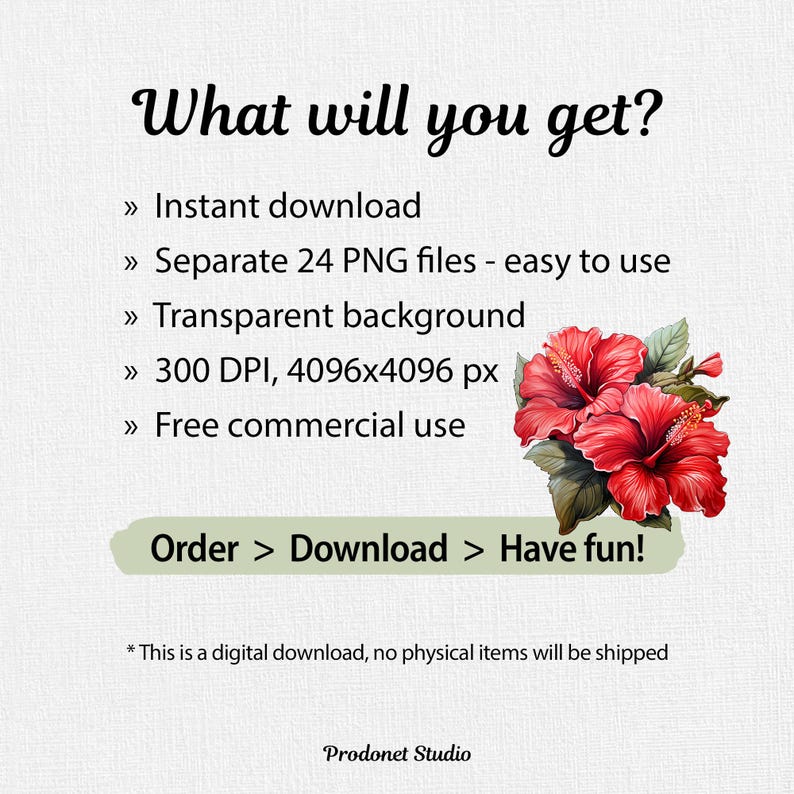 Watercolor Red Hibiscus PNG Clipart Bundle, Watercolor Hibiscus PNG ...