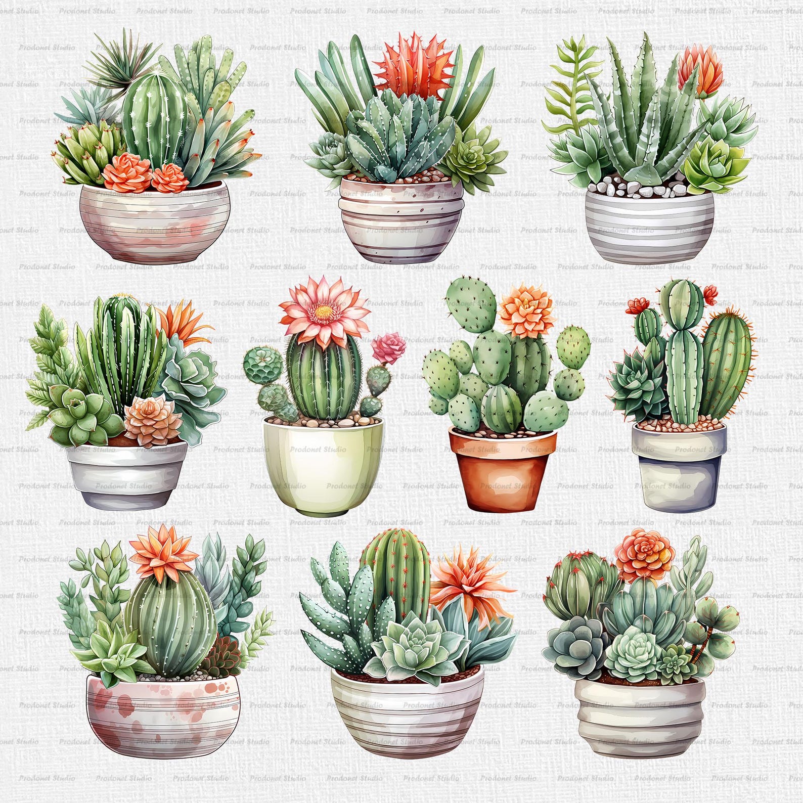 Watercolor Cactus Pot PNG Clipart Bundle, Watercolor Succulent PNG ...