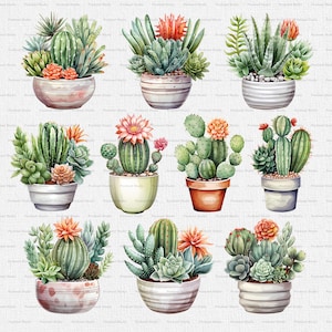 Watercolor Cactus Pot PNG Clipart Bundle, Watercolor Succulent PNG ...