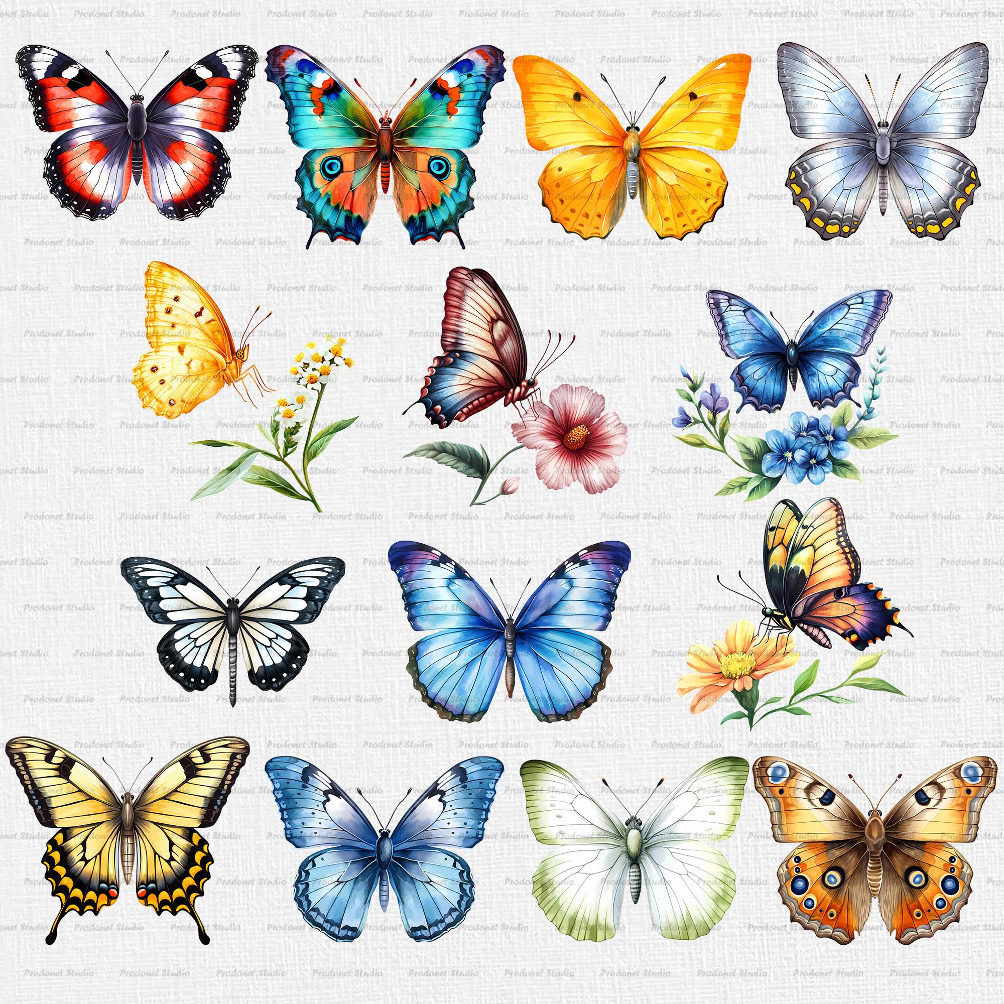 Watercolor Butterfly PNG Clipart Bundle #1, Colorful Butterfly Clipart ...