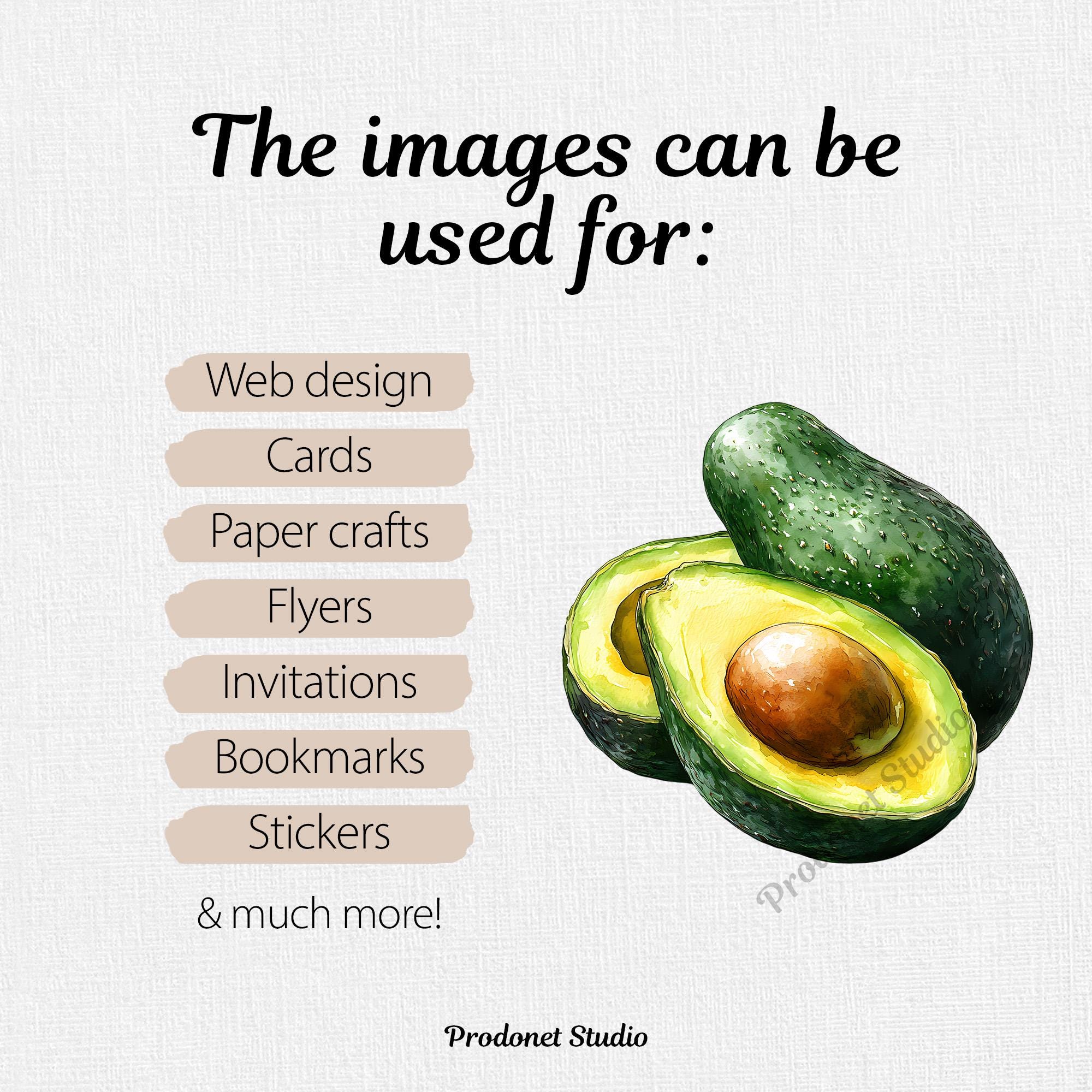 Watercolor Avocado PNG Clipart Bundle, Watercolor Avocado Clipart ...
